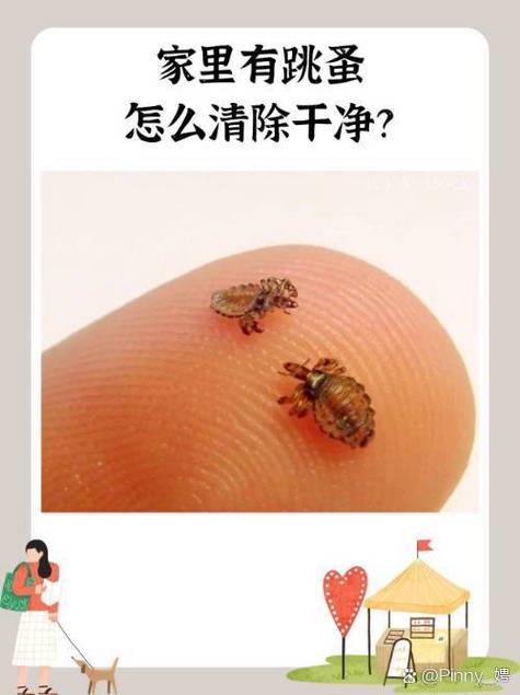 怎么清除掉落物?图标