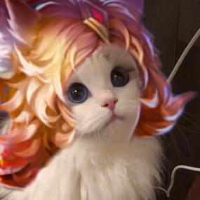 妲己猫咪头像