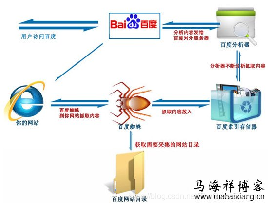 磁力蜘蛛 搜索引擎图标