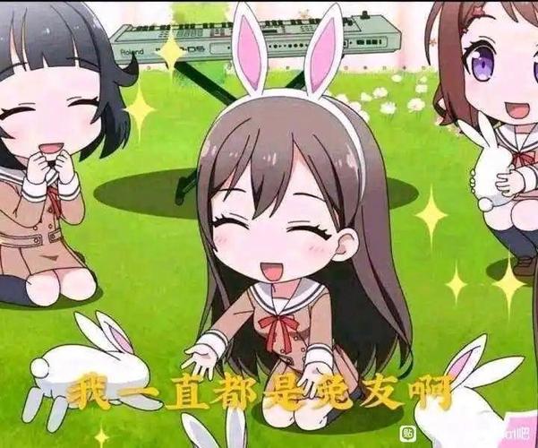 测测你和bangdream图标