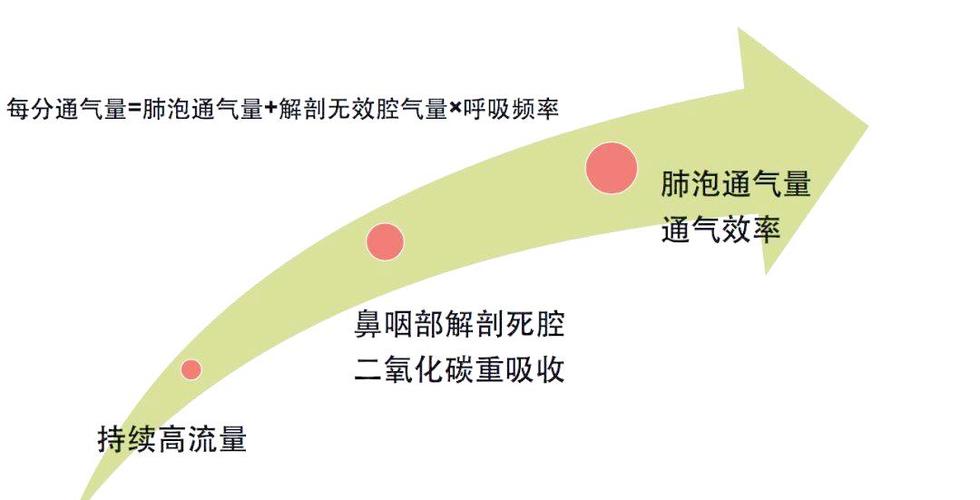 高流量氧疗ppt截图