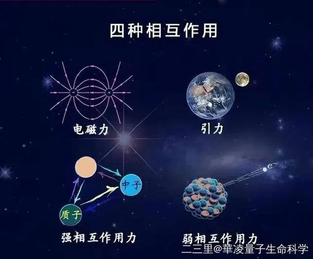 量子物理三大原理