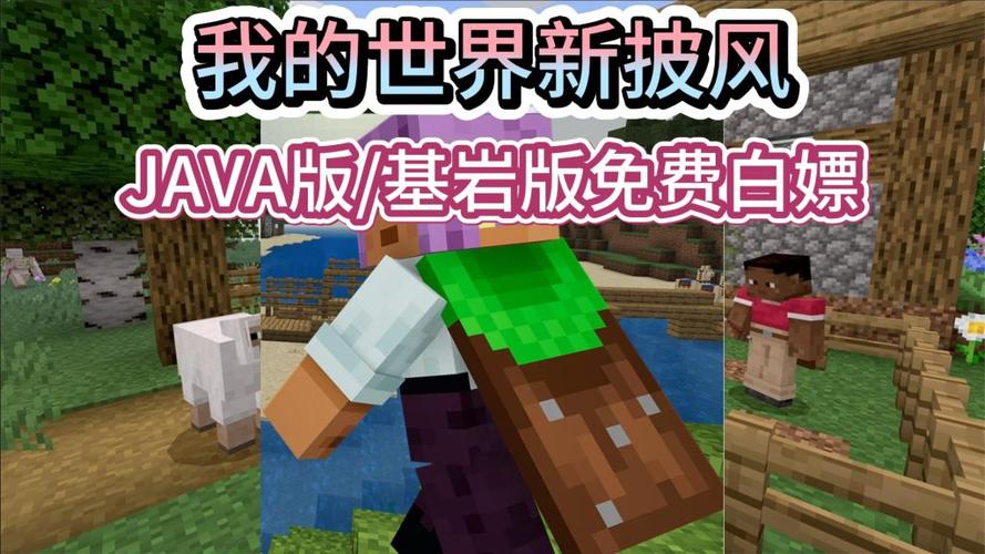 我的世界java皮肤导入图标