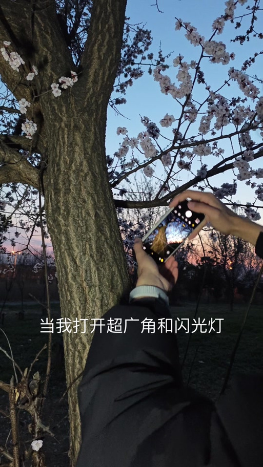 怎么开闪光灯拍照图标