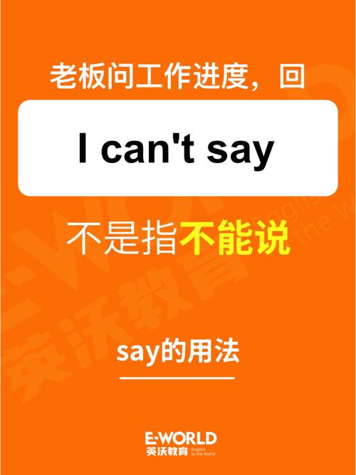 saye的翻译图标