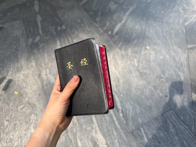 圣经全文免费阅读图标