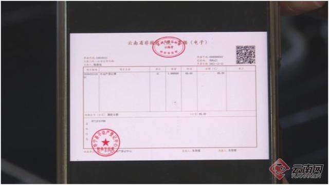 云南非税缴费图标
