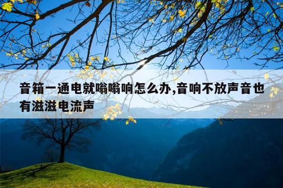 音响一开电源就嗡嗡响截图