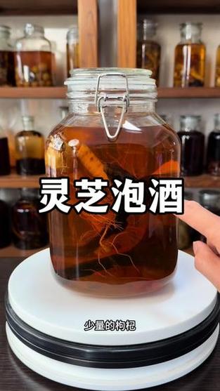人参泡酒的功效图标