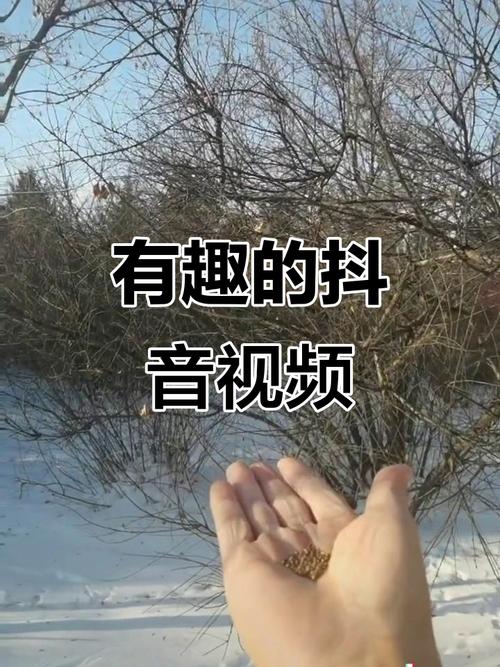 V8音视频怎么赚钱截图