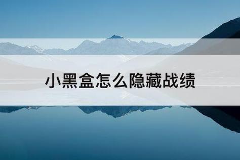小黑盒查看隐藏战绩图标