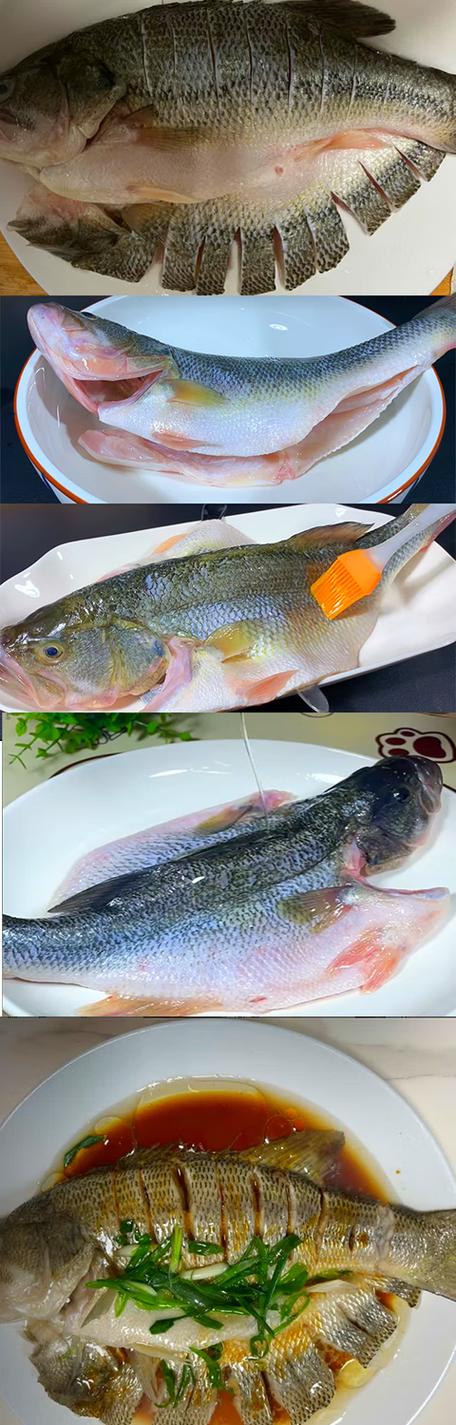 鲈鱼现杀后隔夜还新鲜吗图标