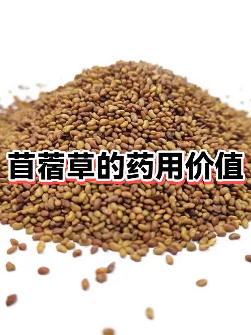 苜蓿草的营养成分表100g图标