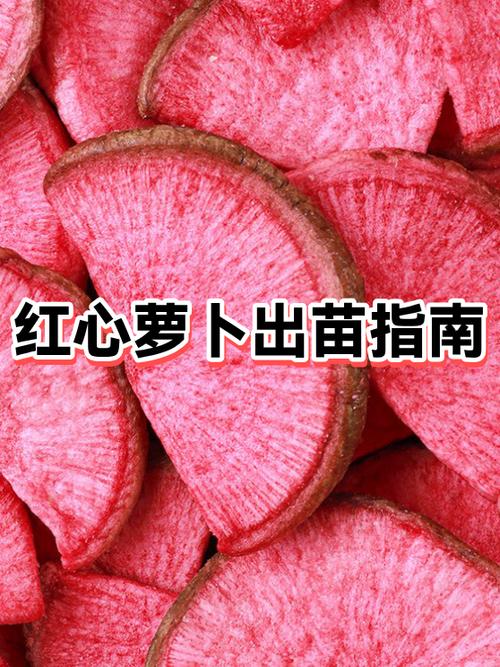 红心容器怎么用我的世界图标