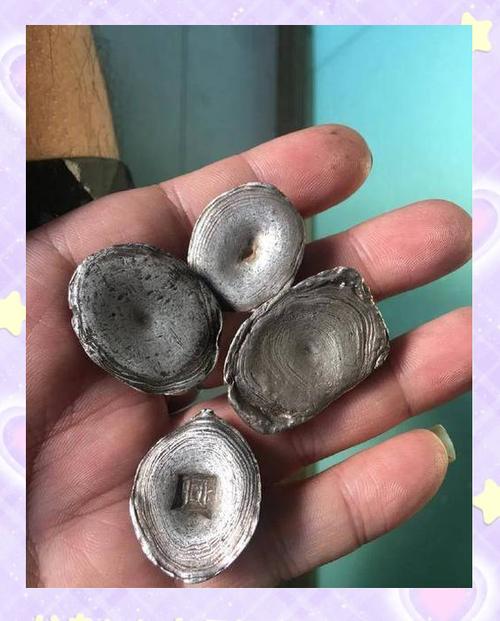 雪花订购贵金属app图标