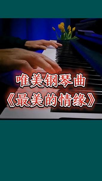 最美的情缘伴奏