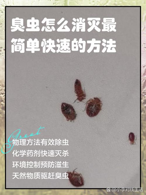 夏天臭屁虫怎么赶走截图
