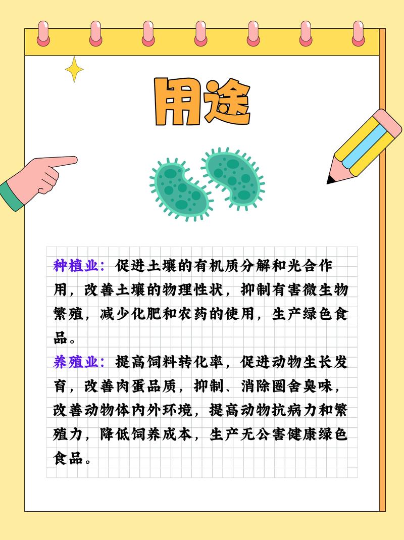 qq阅读书币有什么用图标
