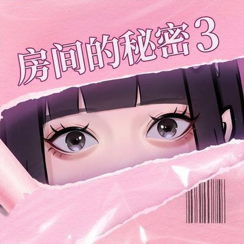 房间的秘密3女团回归夜截图