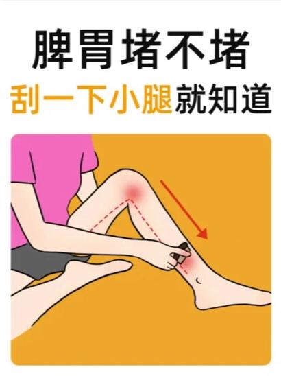 小腿痛什么原因图标