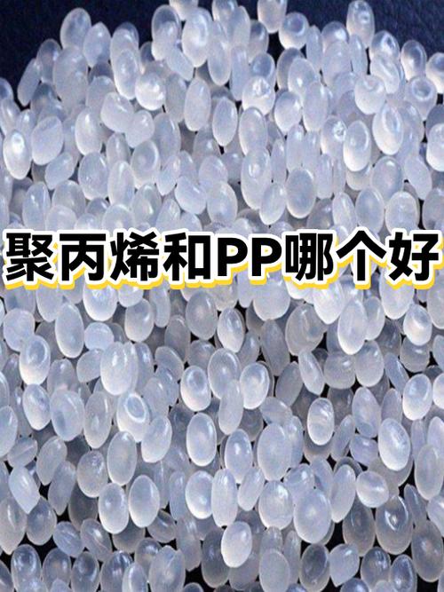 聚丙烯和pp哪个好截图