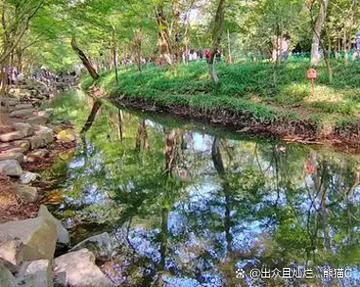 海底叮叮咚咚的声音是什么截图