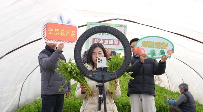高端有机蔬菜电商平台图标