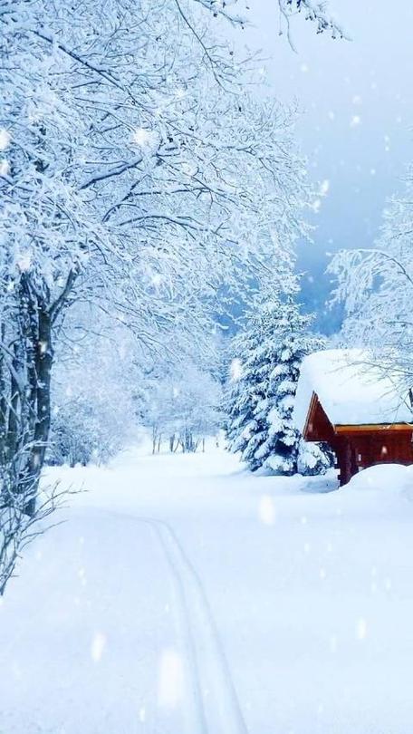 飘雪2019手机版图标