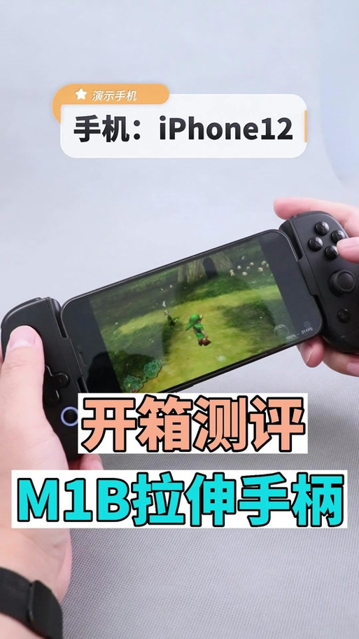 蛋蛋模拟器支持哪些手柄图标