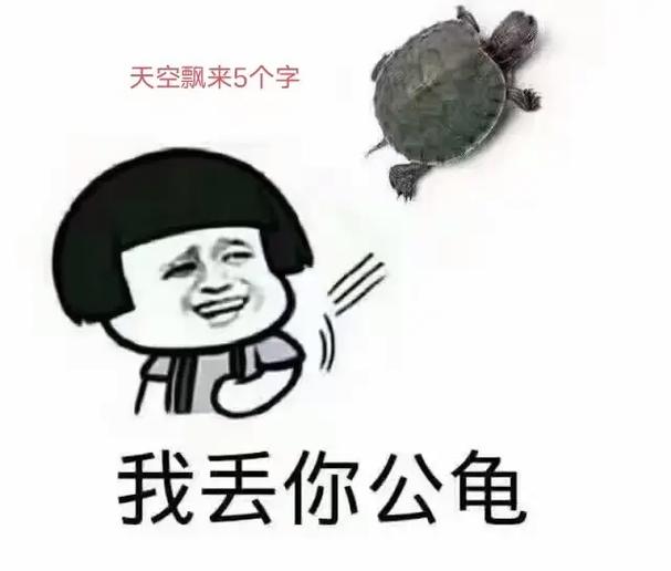 你对你公龟的看法截图