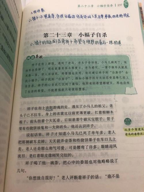 骆驼祥子原著在线阅读截图