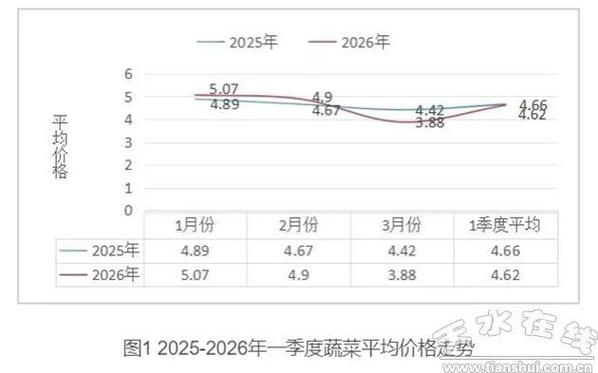 2026年韭菜价格表图标