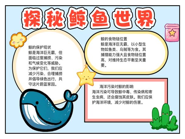 鲸鱼是合弓纲嘛缩略图