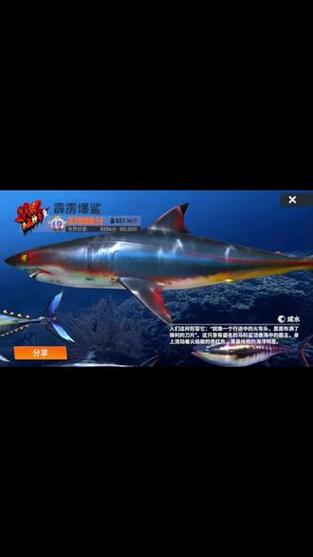 单机钓鱼游戏图标