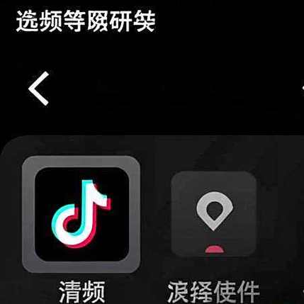 抖音缓存清理后还在图标