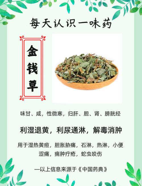 金钱草的功效与作用图标