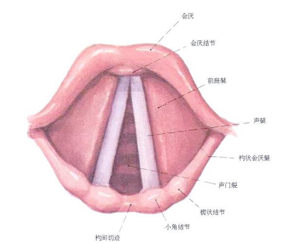 唱歌声音是从喉咙深处出来图标