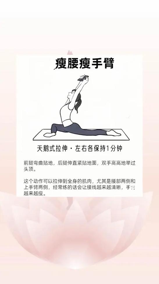 瑜伽视频教程初级在家练全套视频图标