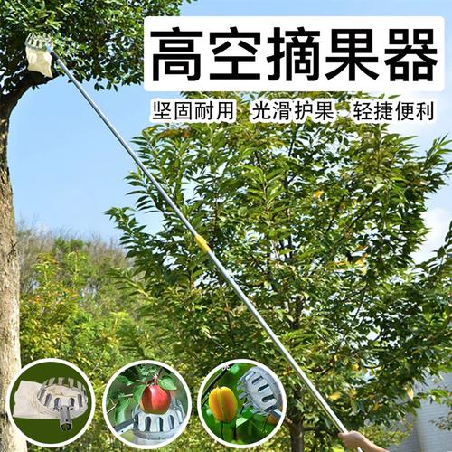 百果园是加盟还是直营图标