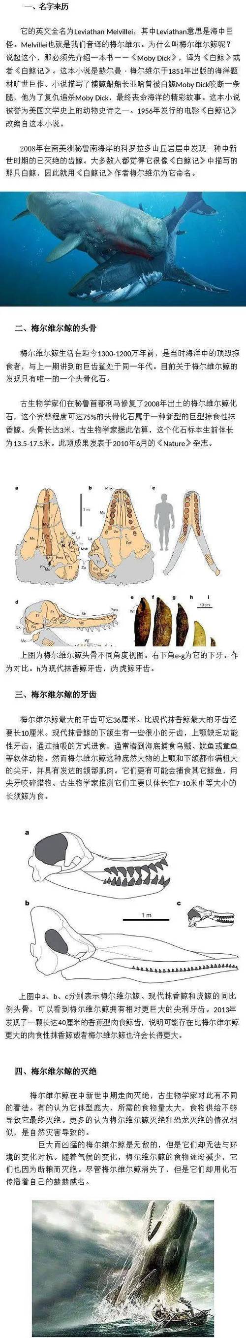 《大多数》百度百科图标