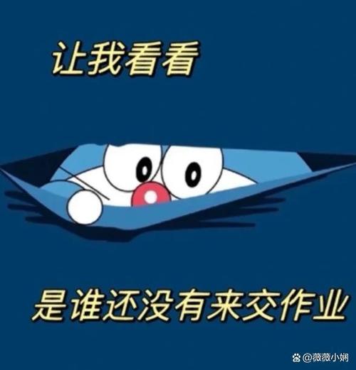 超星作业过期了还可以交么图标