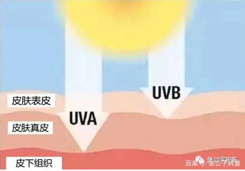 防晒棒真的防晒吗游戏截图