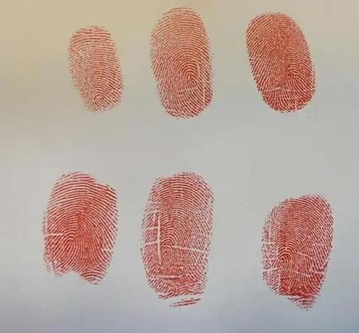 手指上没有指纹怎么办图标