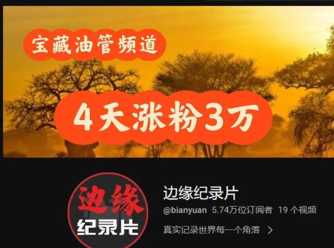 油管频道什么意思截图