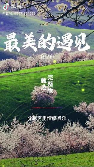 纯音乐《最美的遇见》图标