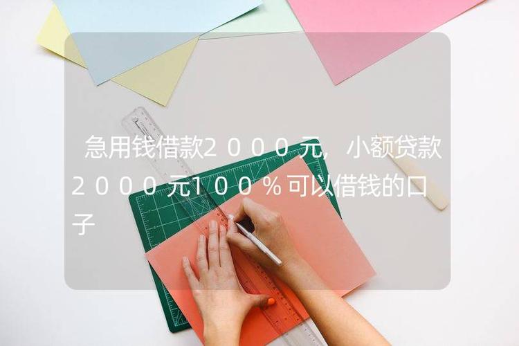 借2000的小额借款截图