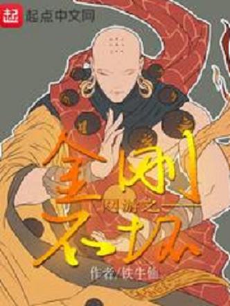 网游之金刚不坏图标