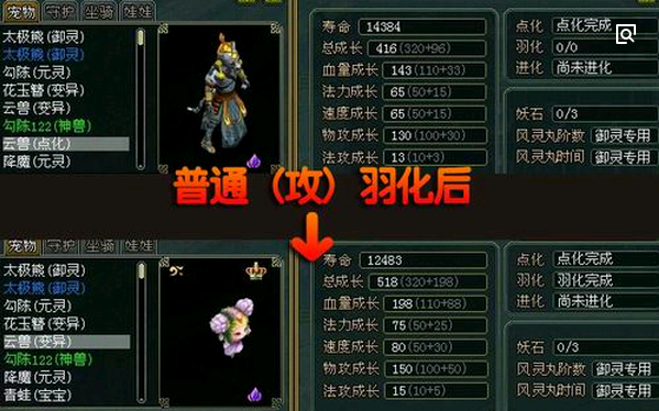 问道宠物先进化还是先羽化图标