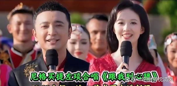手机视频电话的原理图标