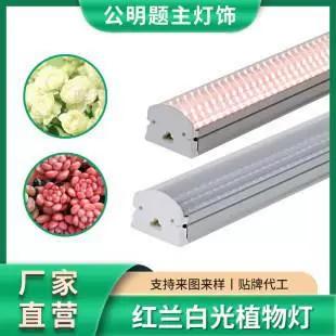 多肉补光灯有作用吗图标